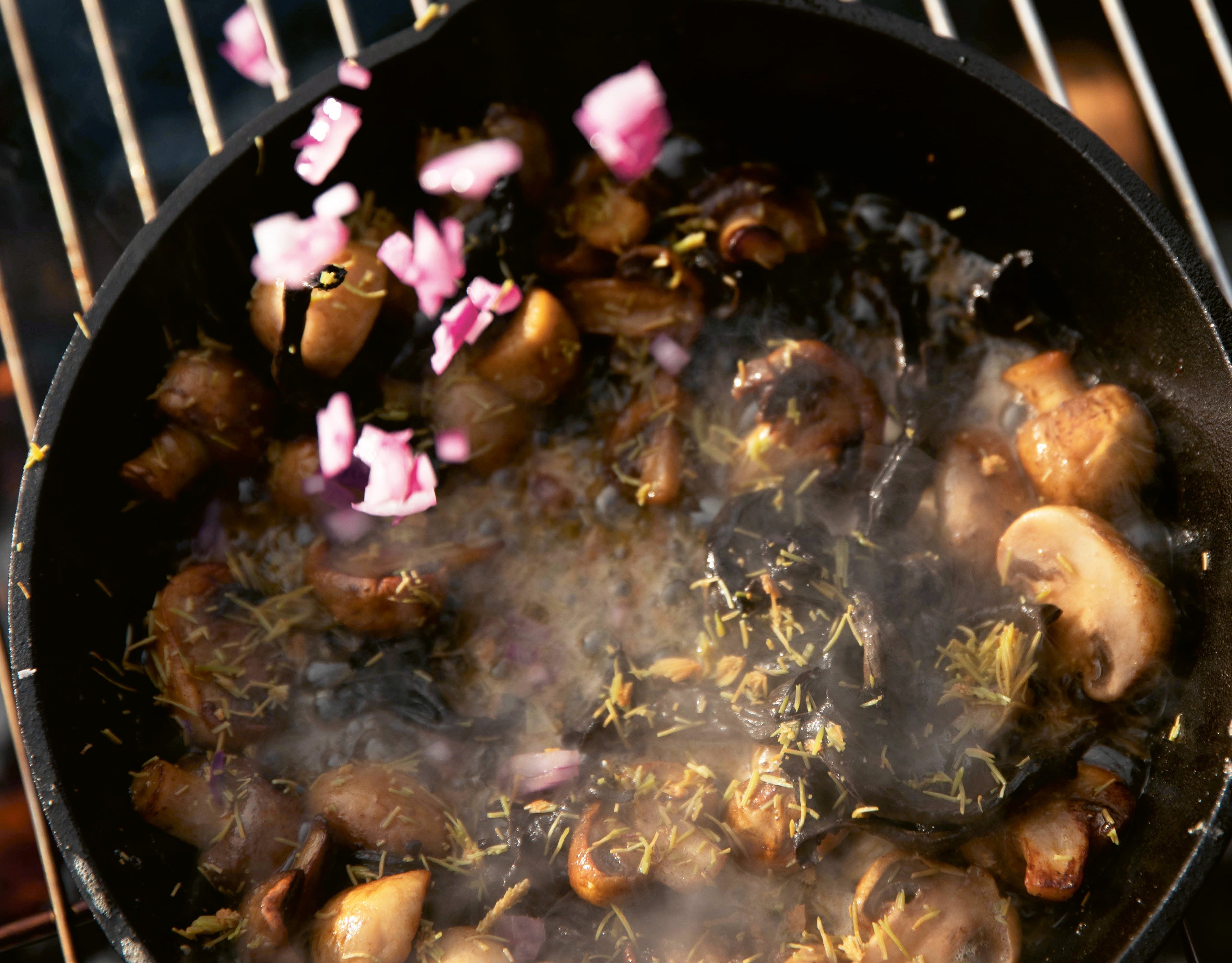 Game stew with mushrooms – Espegard Canada